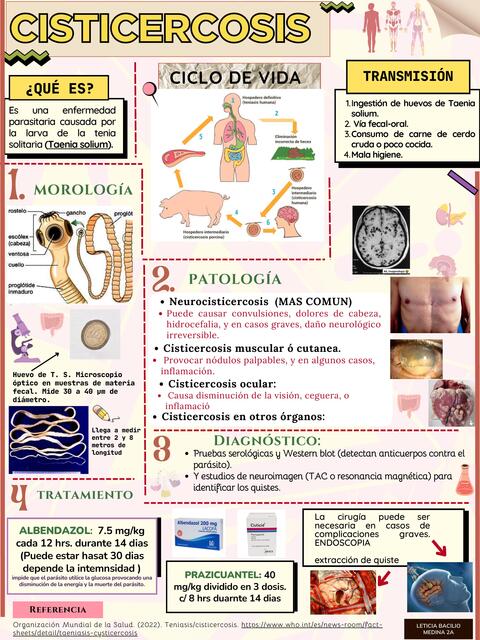 Cisticercosis | Lety | uDocz