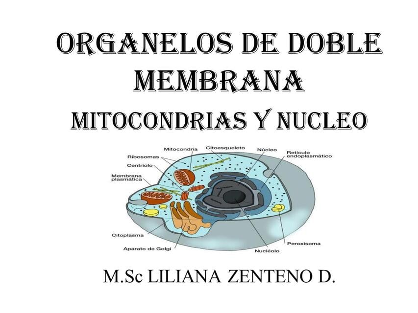 Nucleo Madeleyne Condori Udocz