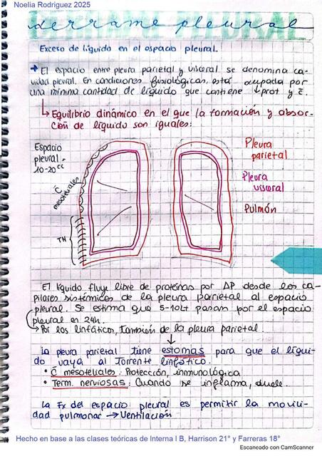 TP N°8: Pleuropatías | Noelia | uDocz