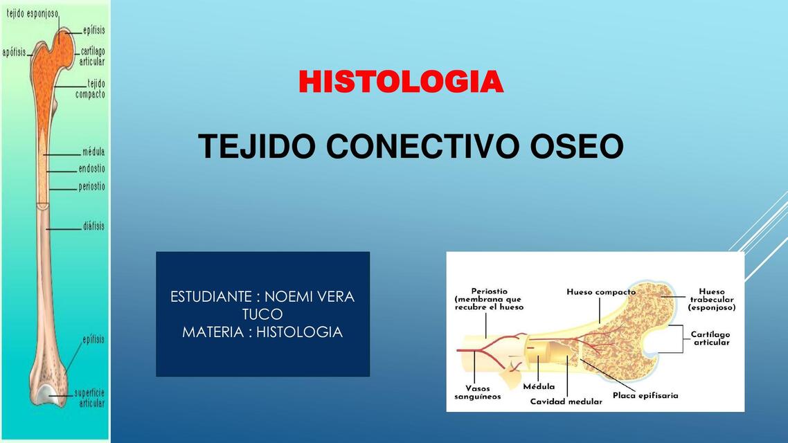 T oseo matriz | NOEMI | uDocz