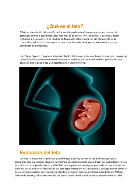 Que es el feto | edel | uDocz