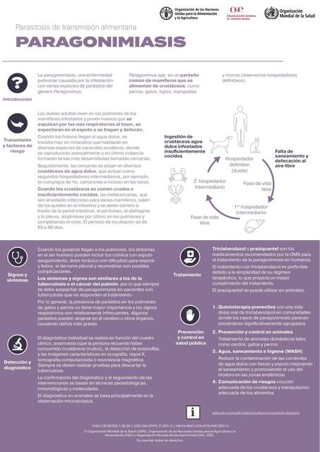 paragonimiasis es | Emiterio | uDocz