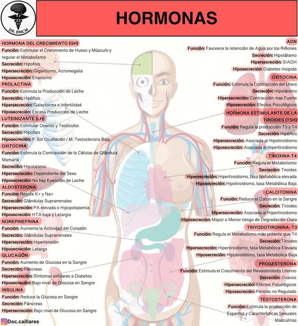 HORMONAS | Dr. Boris Moises Caillares Montaño | uDocz