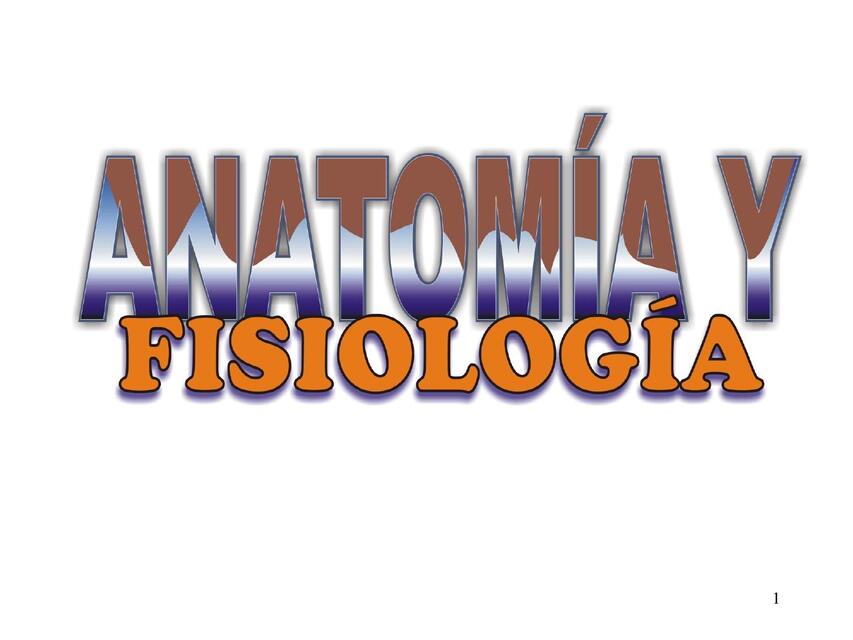 Flashcards de ANATOMIA 1 | Por Aliin | uDocz