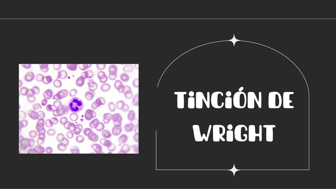 Tinción de wright biología | Kristel | uDocz