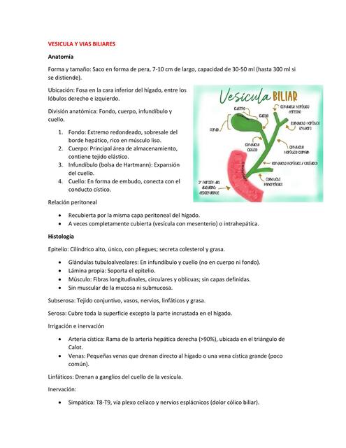 vesicula y vias biliares | Yosimar Garcia | uDocz