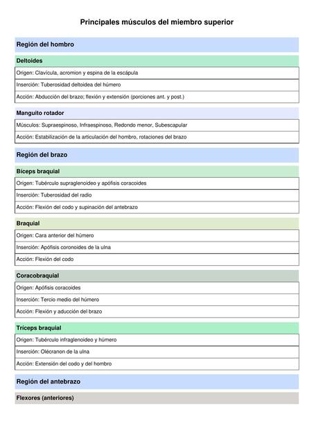 Musculos Miembro Superior | Matias Raúl | uDocz
