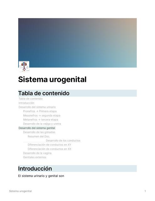 Flashcards de Desarrollo embriológico del sistema urogenital | Por ...