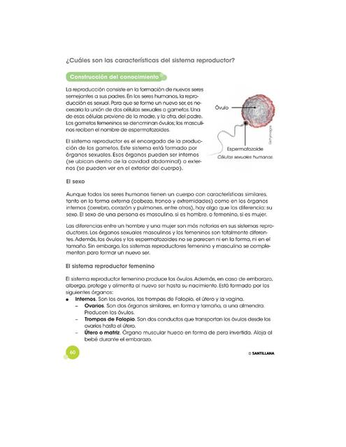 Doc3 | Veronica Ambrocio | uDocz