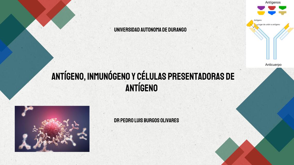 Flashcards de 7 Antígeno Inmunógeno y CÉLULAS PRESENTADORAS DE A | Por ...