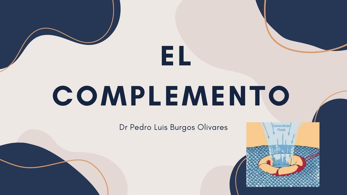 4 EL COMPLEMENTO | antonio zelaya | uDocz