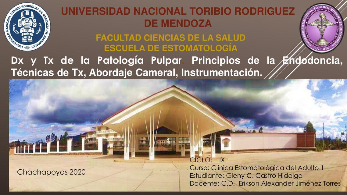 ENDODONCIA patología pulpar | Gleny | uDocz