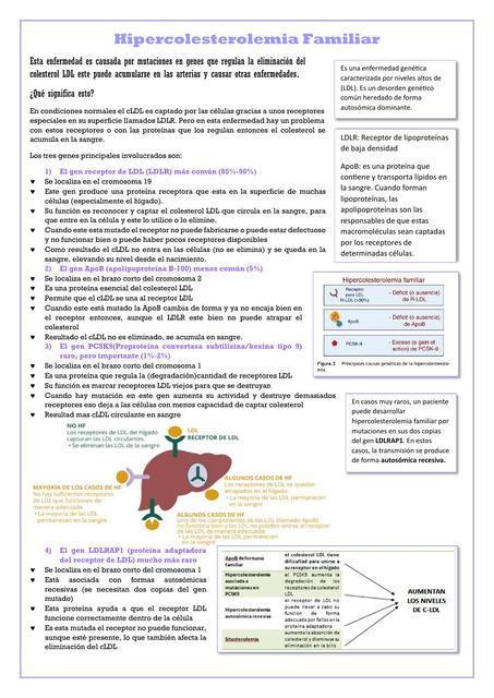 Hipercolesterolemia Familiar | Isa y Bruno | uDocz