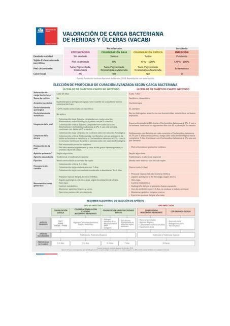 VACAB | Vanessa díaz | uDocz
