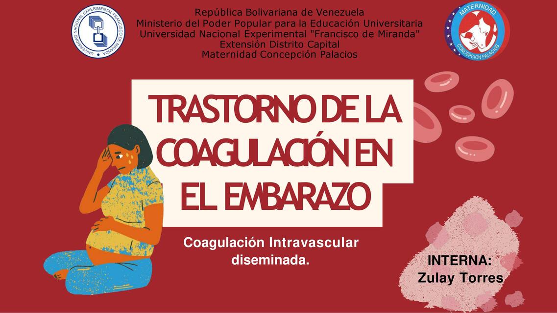 CDI ZU | zulay torres | uDocz