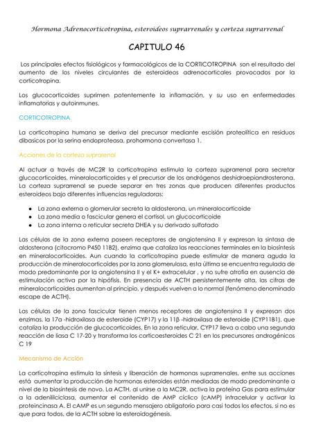 Hormona Adrenocorticotropina esteroideos suprarrenal | Belén Roche | uDocz