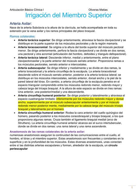 Irrigacion del Miembro Superior | Matias Oliveras | uDocz