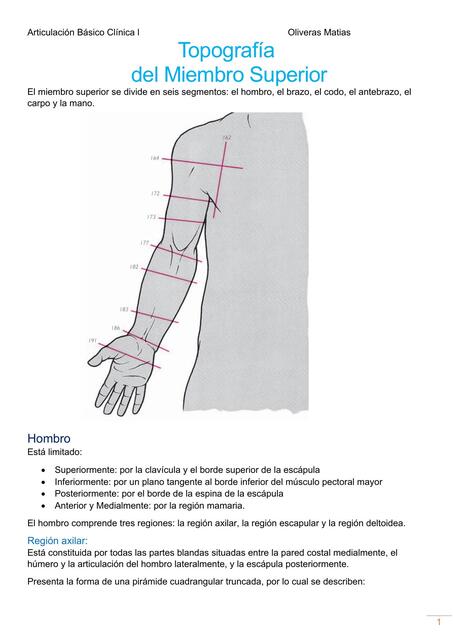 Topografia del Miembro Superior | Matias Oliveras | uDocz