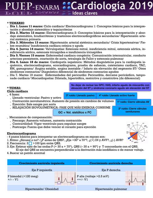 Cardio Medicstore Udocz