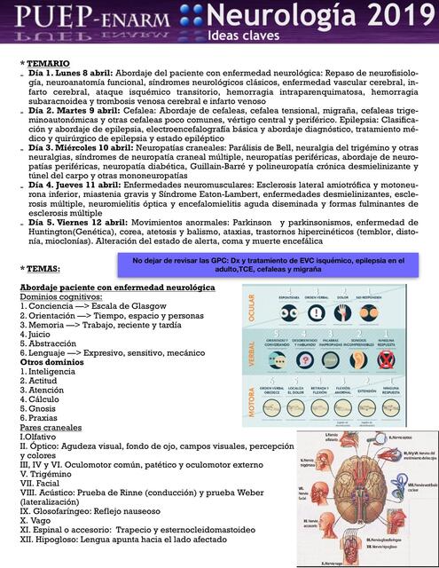 NEURO | MEDICSTORE | uDocz