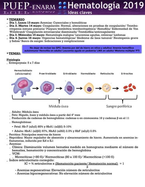 HEMATO | MEDICSTORE | uDocz