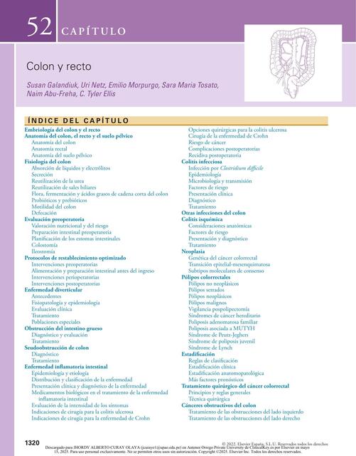 COLON Y RECTO | Jhordy Alberto Curay Olaya | uDocz
