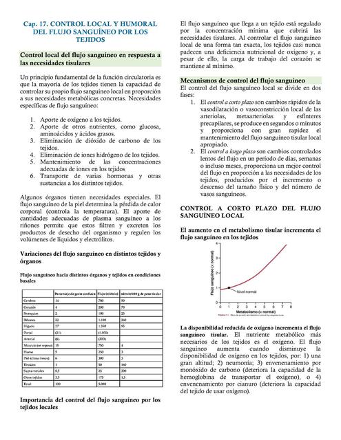CAP 17 Fisio | Raquel | uDocz