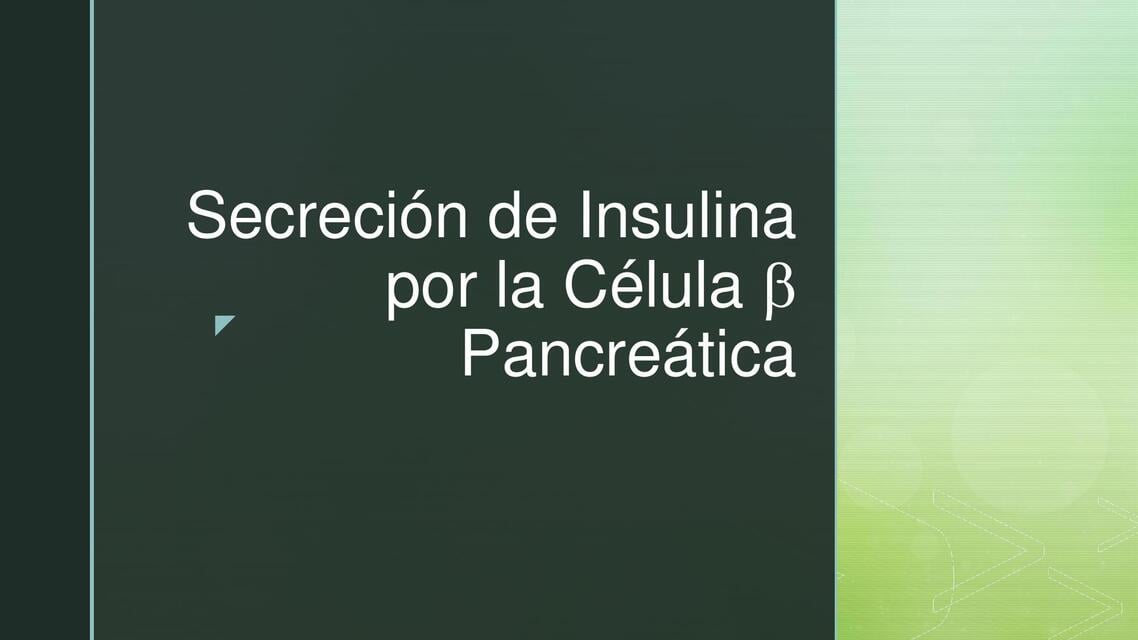 Secreción de Insulina por la Célula Pancreática 1 | valen | uDocz