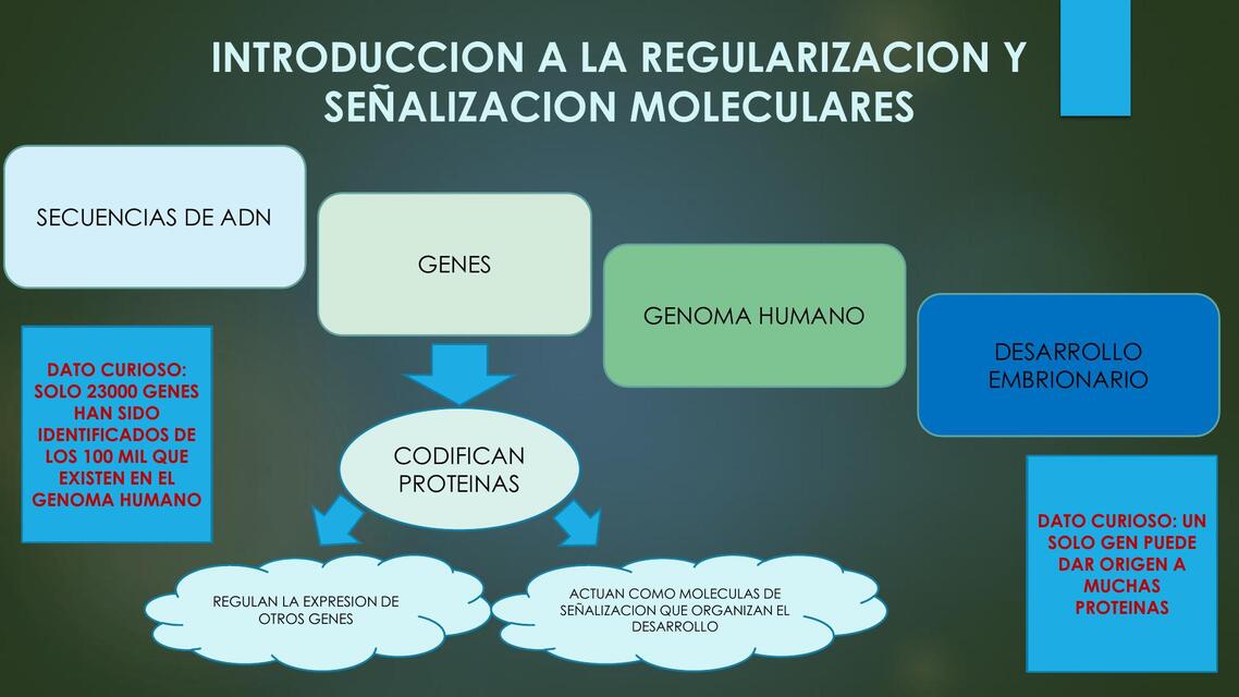 Introducción a la regularización y señalización moleculares | DAVIS ...