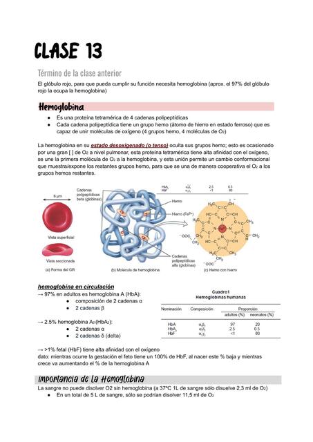 CLASE 13 | Rosio Anabalón | uDocz