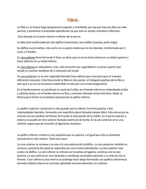 TIBIA | Nicole F. Ramos | uDocz