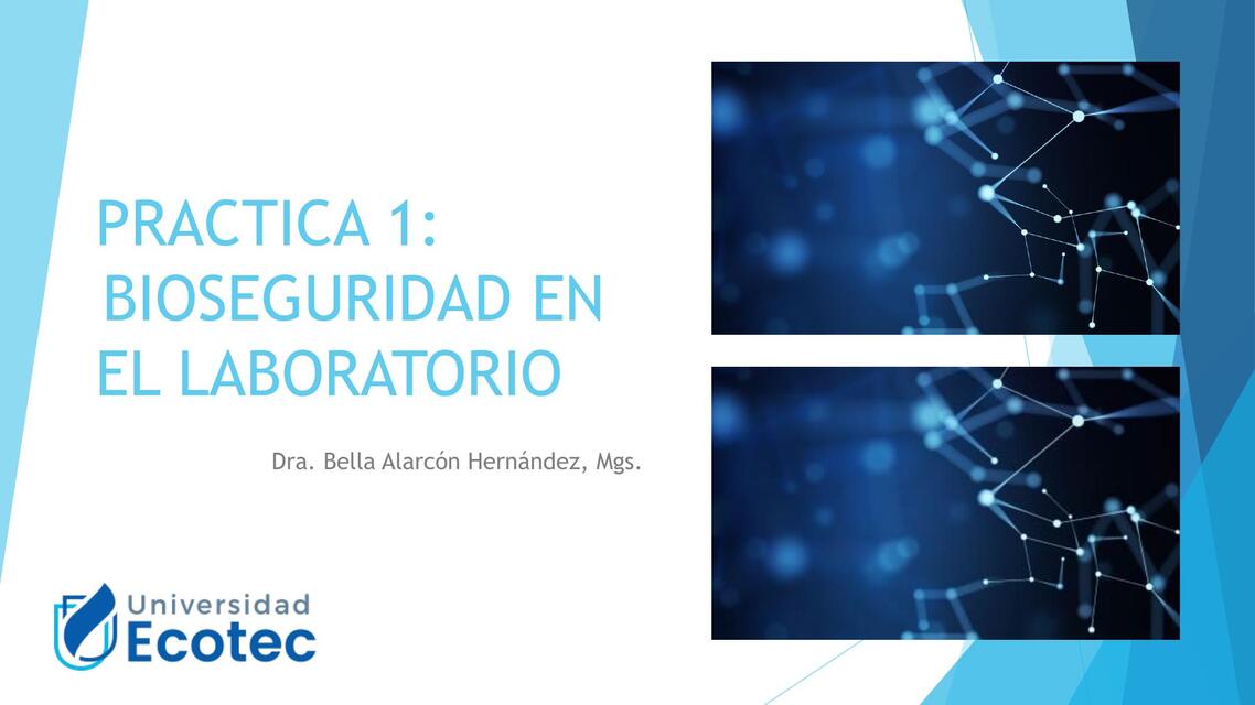 3P BIO LAB | camila | uDocz