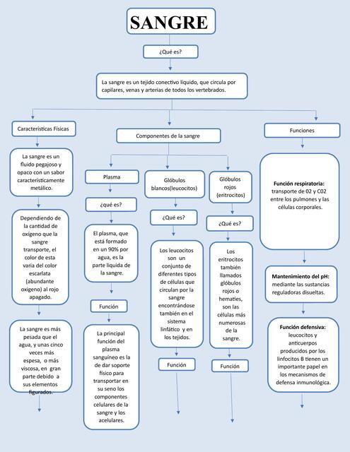 Mapa conceptual de la Sangre 4 | Angelina | uDocz