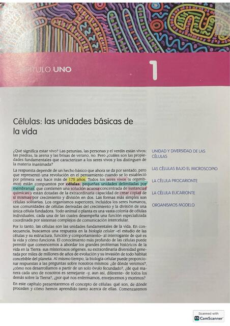 Células: las unidades básicas de la vida | Mariel | uDocz