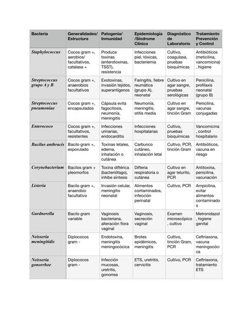 Bacterias | Mp | uDocz