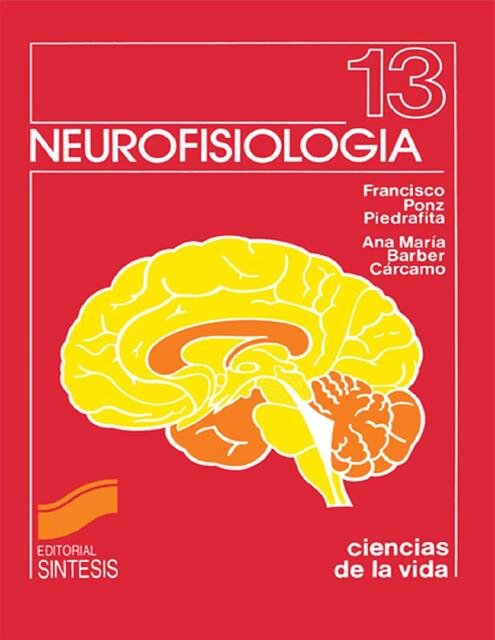 UIII3 4 3 Neurofisiologia Ana M Barber | Natalia | uDocz