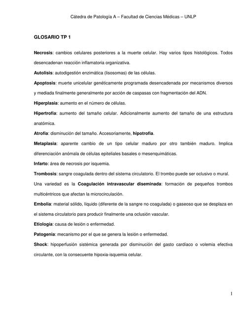 GLOSARIO | Costa Colle Leticia 8 8 6 1 1 5 | uDocz