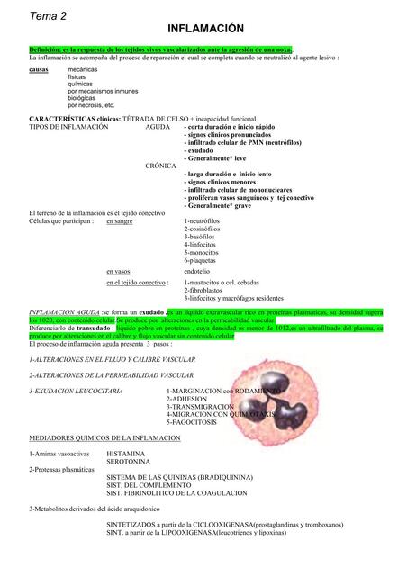 Inflamación | Costa Colle Leticia 8 8 6 1 1 5 | uDocz