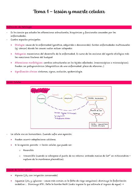 Lesión y muerte celular | Costa Colle Leticia 8 8 6 1 1 5 | uDocz