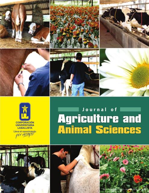 RIB Revista La Salle | Hilire condori Maykol Brayan | uDocz