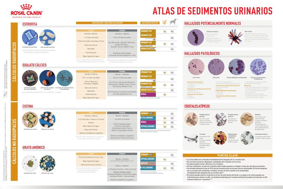 1 URINARY Atlas de sedimento urinario | Brayan Hilire | uDocz
