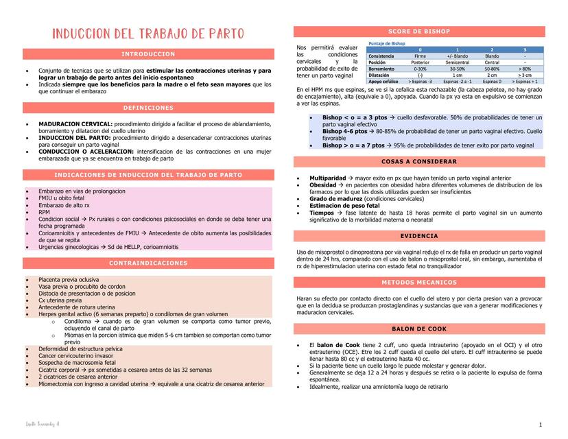 Induccion del trabajo de parto | Liseth | uDocz