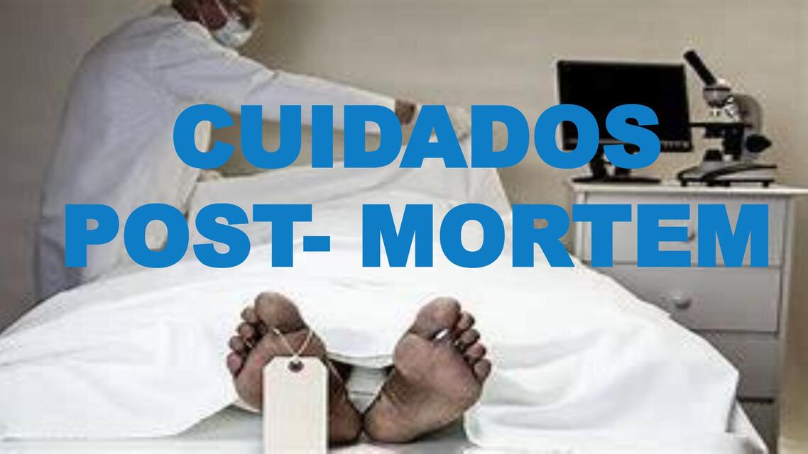 CUIDADOS POST MORTEM 1 | Veronica | uDocz