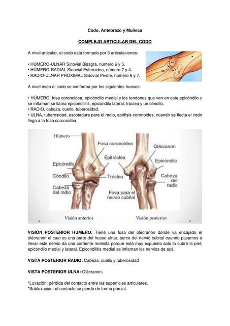 Clase Codo Antebrazo Y Muñeca 1 Martina Siames Udocz
