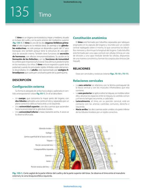 Timo Jose Emilio Udocz