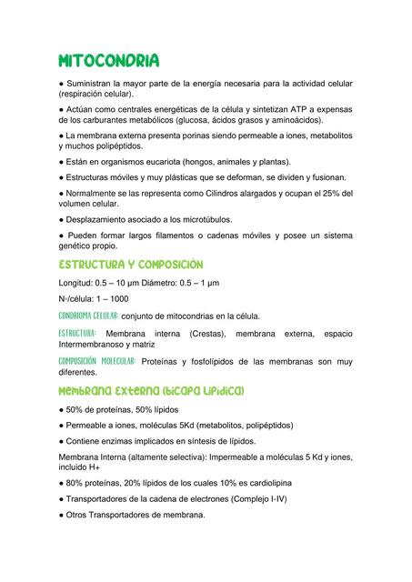 MITOCONDRIA S4 | Veronica Mayurí | uDocz