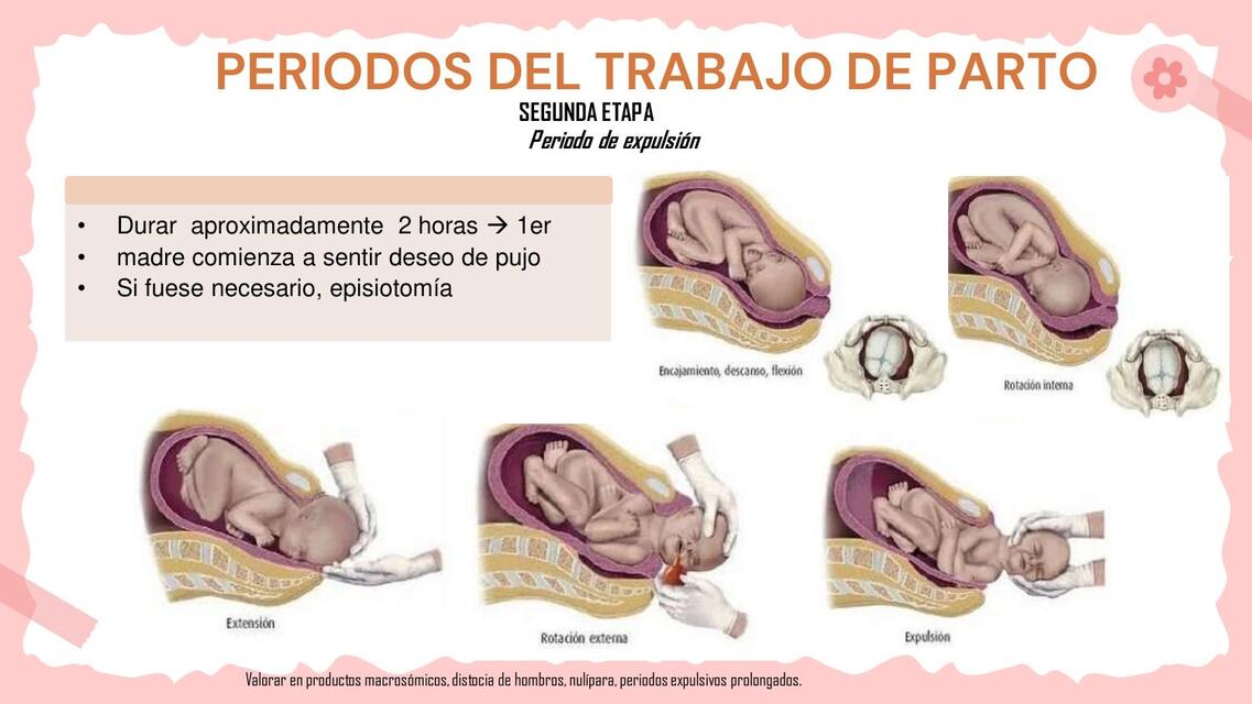 TRABAJO DE PARTO NORMAL fase 3 | Doctor_teco | uDocz