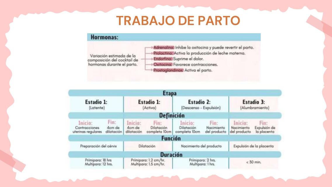 TRABAJO DE PARTO NORMAL fase 5 | Doctor_teco | uDocz