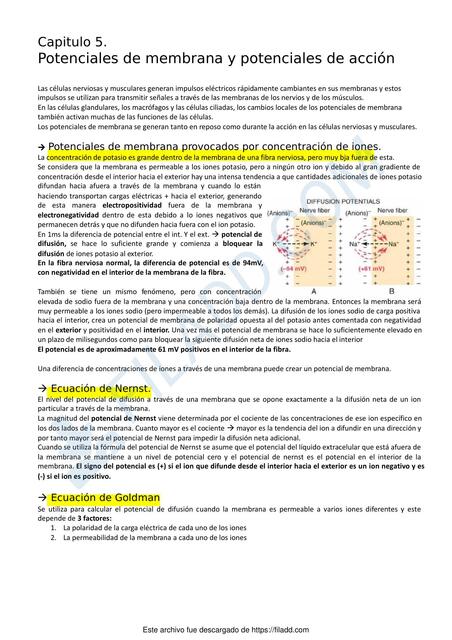 capitulo 5 guyton compress | Dafne Thais | uDocz