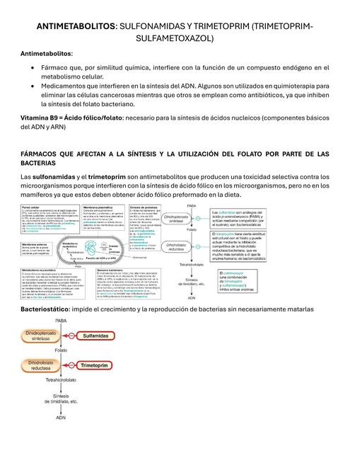 ANTIMETABOLITOS SULFAMIDAS Y TRIMETOPRIM | CINTHYA YARIBEL CABRERA ...